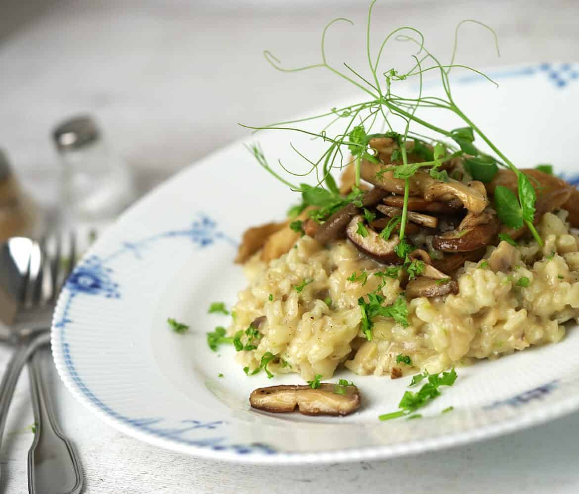 Risotto med svampe - ægte italiensk opskrift - Baregomad.dk